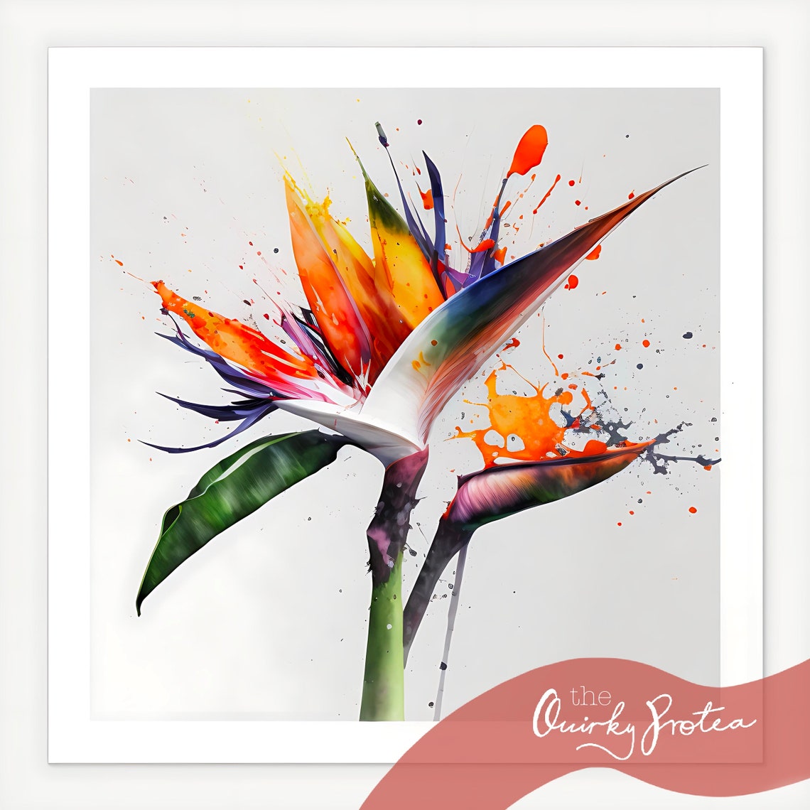 Strelitzia Watercolor Print Set: Framed Bird of Paradise Art (digital ...