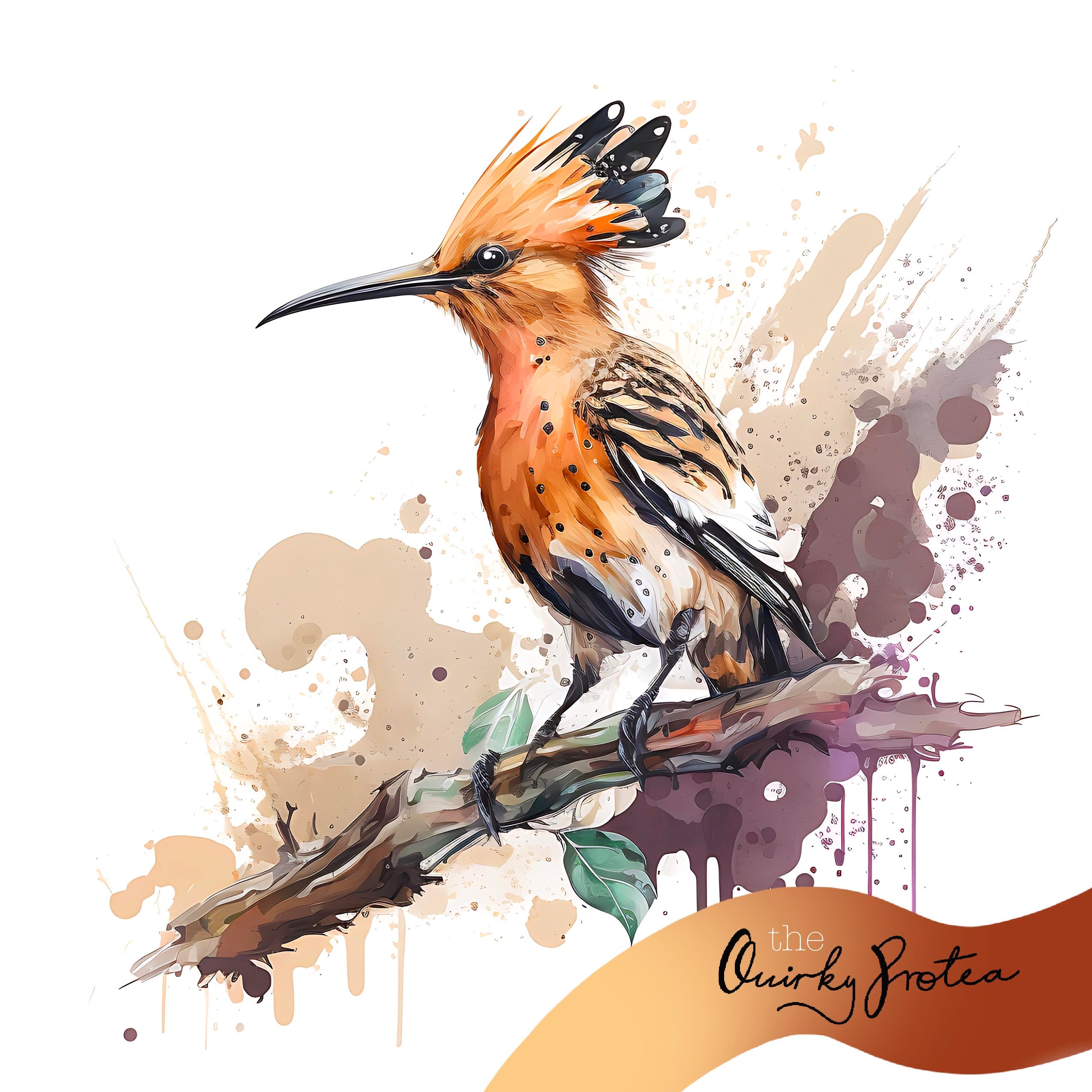 Set of 6 Hoopoe Birds Watercolour, Square, Digital Download, Clipart ...