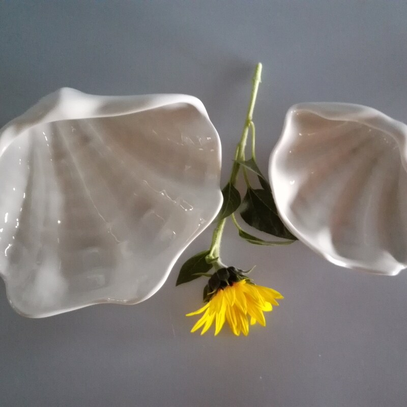 Porcelain Shell - Etsy UK