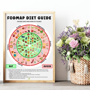FODMAP Diet Guide Poster Low Fodmap Food List Meal Plan for Irritable ...