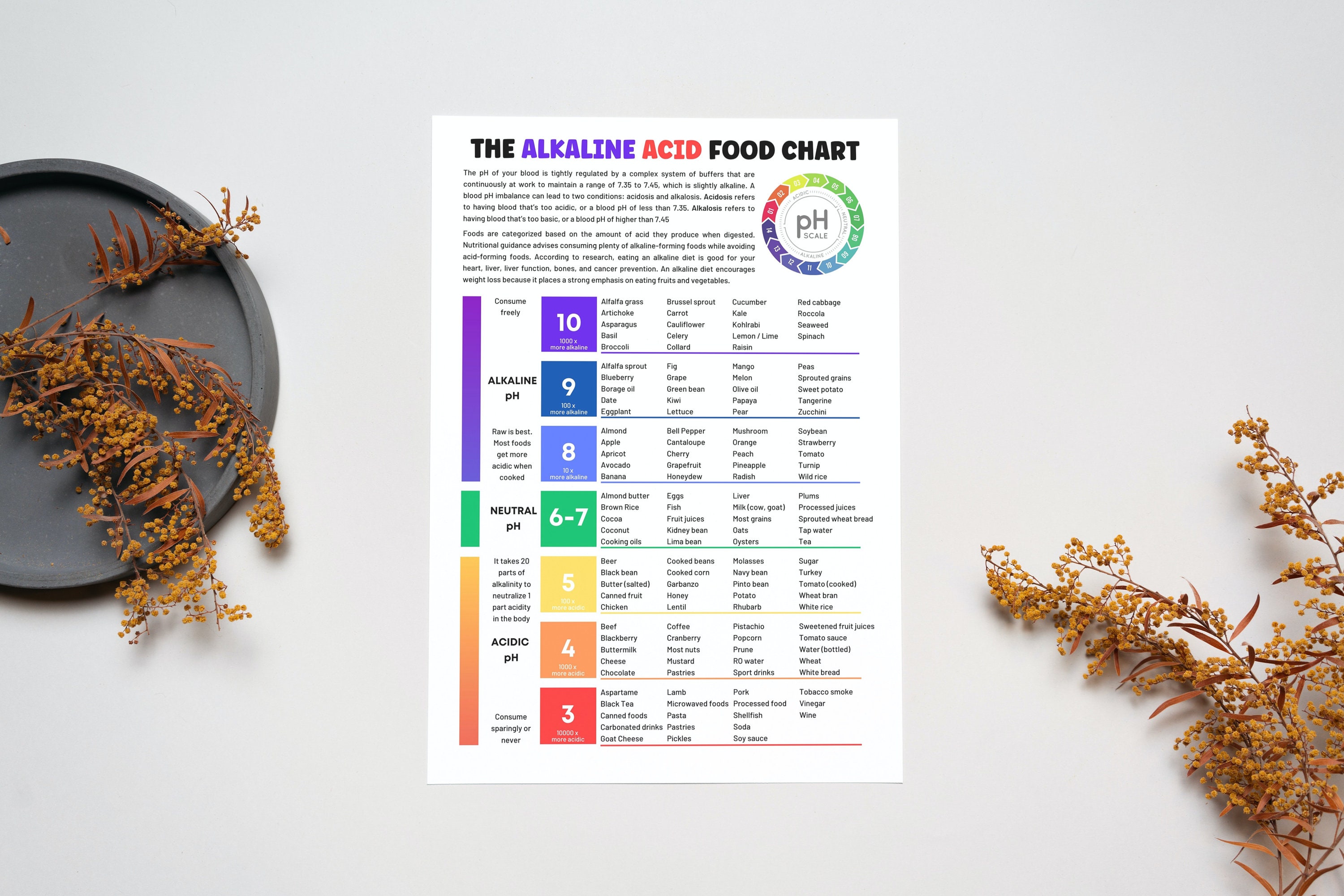 Alkaline Food List Poster Alkaline Diet Cheat Sheet Shopping - Etsy UK