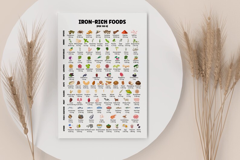 Iron-rich Foods List Healthy Food Planner for Anaemics High - Etsy
