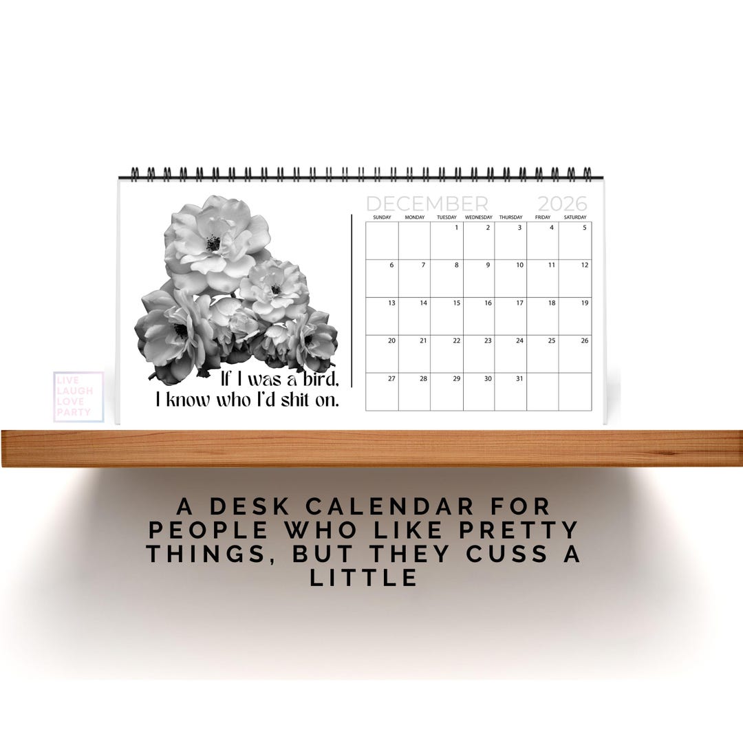 2026 Funny Swear Word Desk Calendar: Sassy Office Decor, Profanity ...