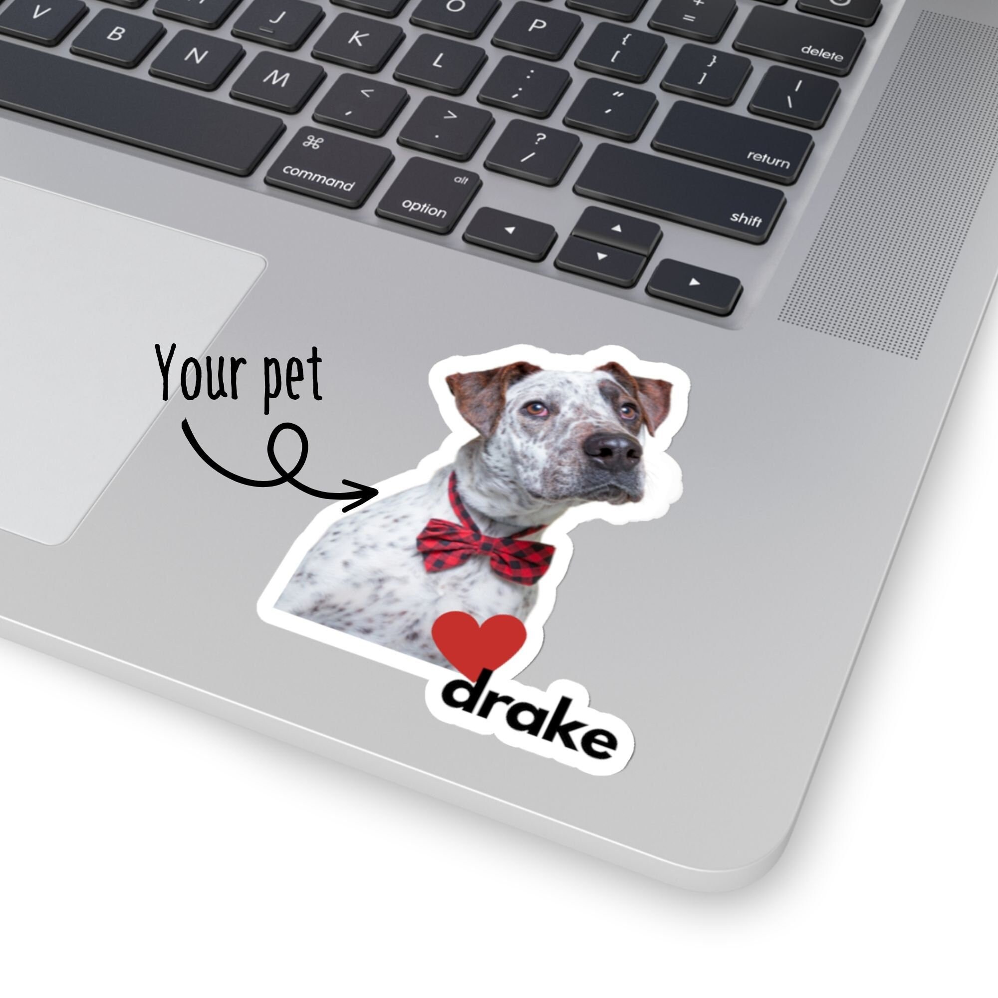Custom Pet Sticker With Photo, Personalized Dog, Cat Sticker, Water ...