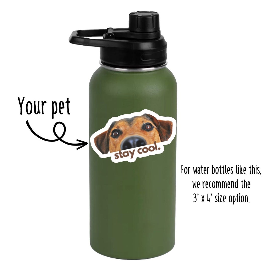 Custom Pet Sticker With Photo, Personalized Dog, Custom Cat Sticker ...