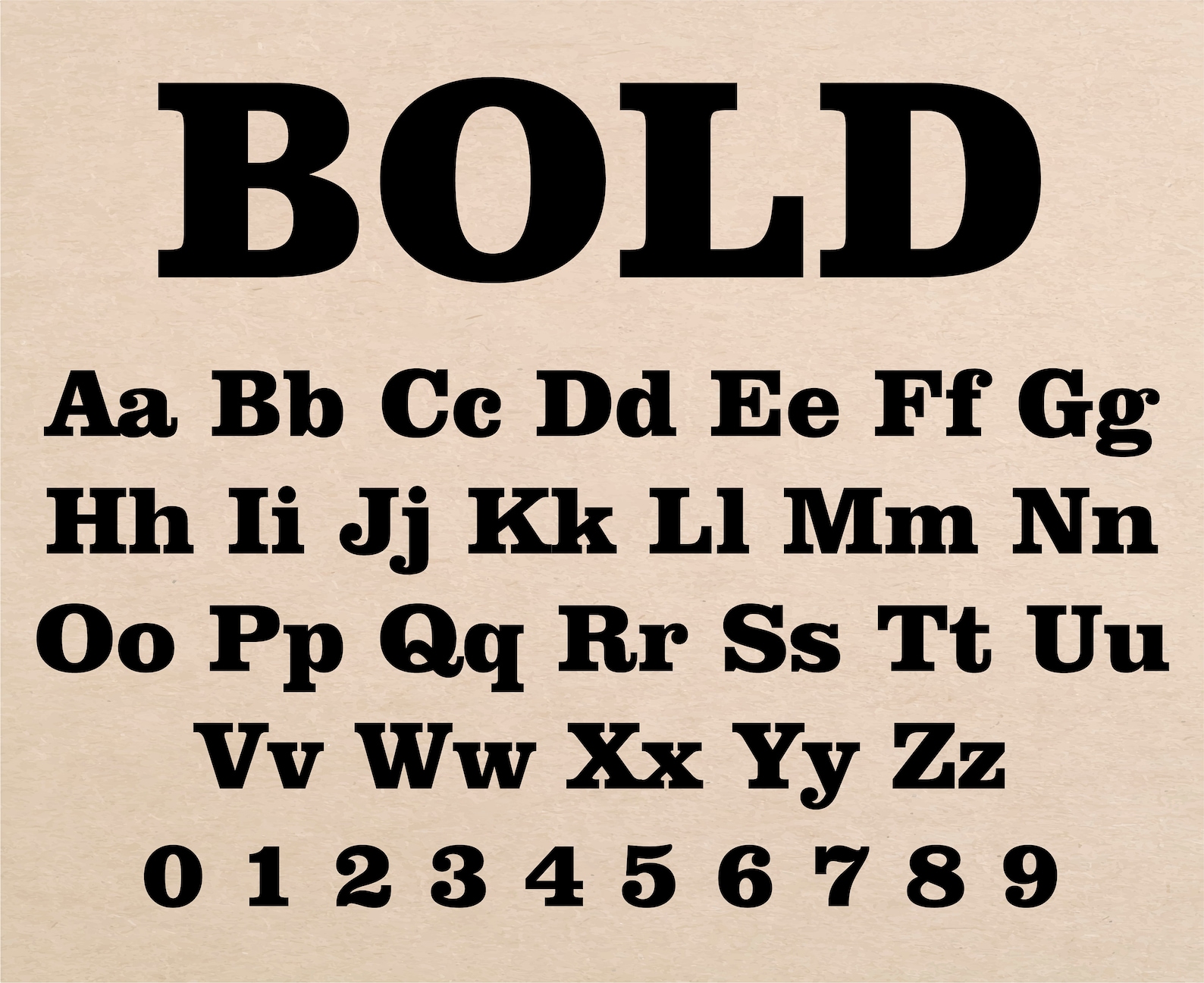 Bold Serif Font Block Font Block Style Font Block Script Font Serif ...