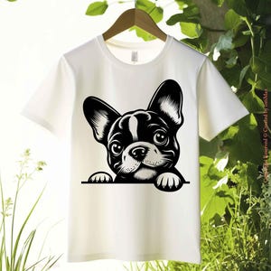 French Bulldog SVG, Frenchie Clipart, Bulldog Silhouette, French ...