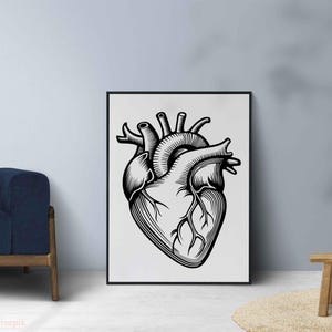 Anatomical Heart SVG Bundle: Heart Outline Cut Files (digital Download ...