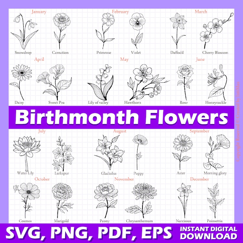 Birth Flower Svg - Etsy