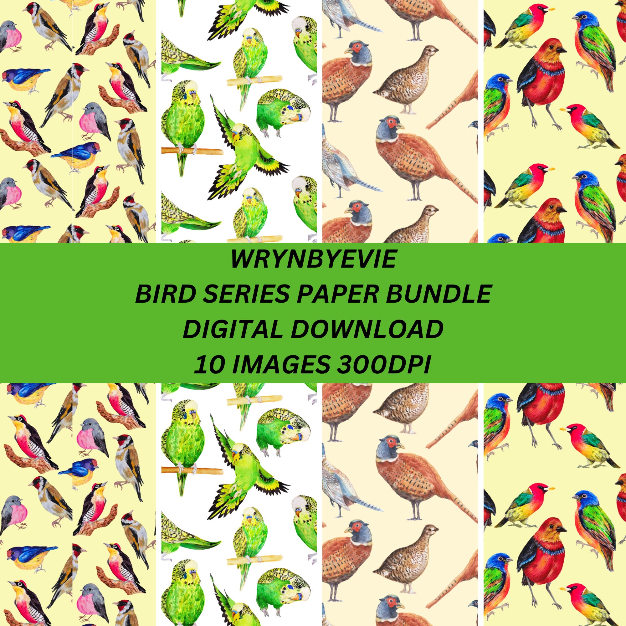 Bird Themed Paper Bundle, Digital Download, Birds, Owls, Parakeets, for ...