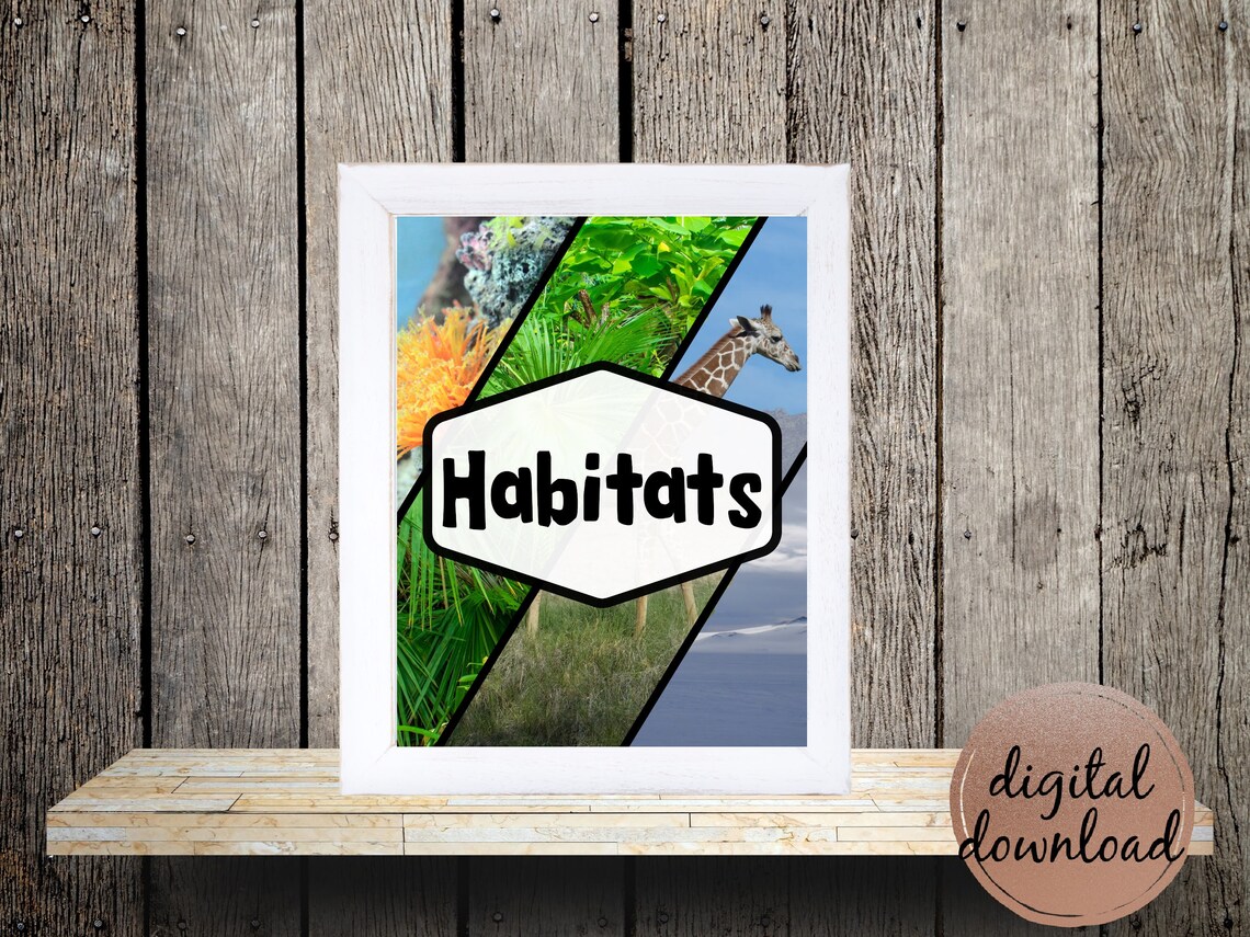 Library Display Sign Bundle for School Library or Classroom Library ...