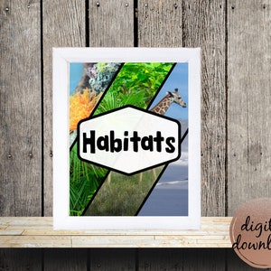 Library Display Sign Bundle for School Library or Classroom | Library ...