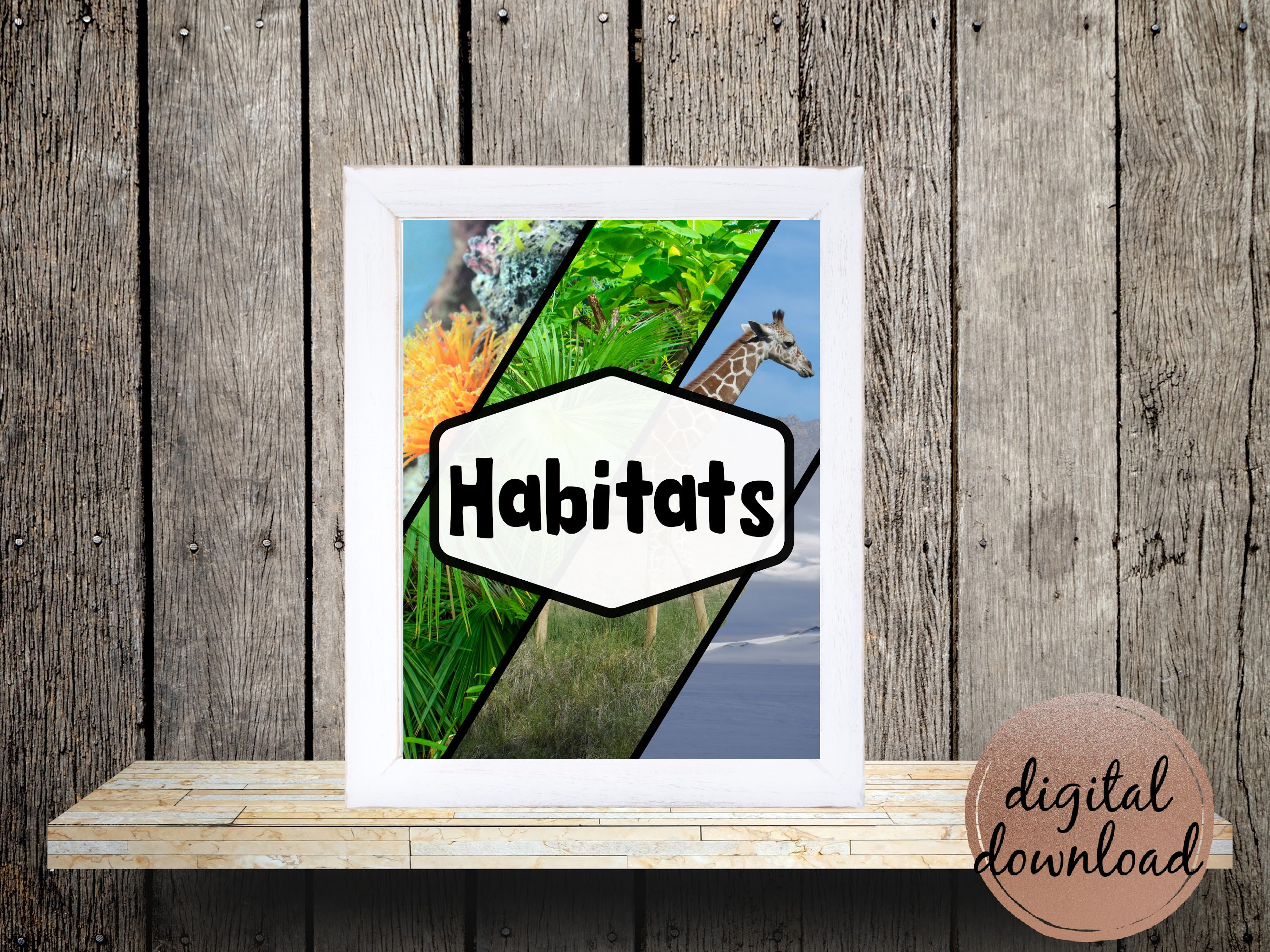 Library Display Sign Bundle for School Library or Classroom Library ...