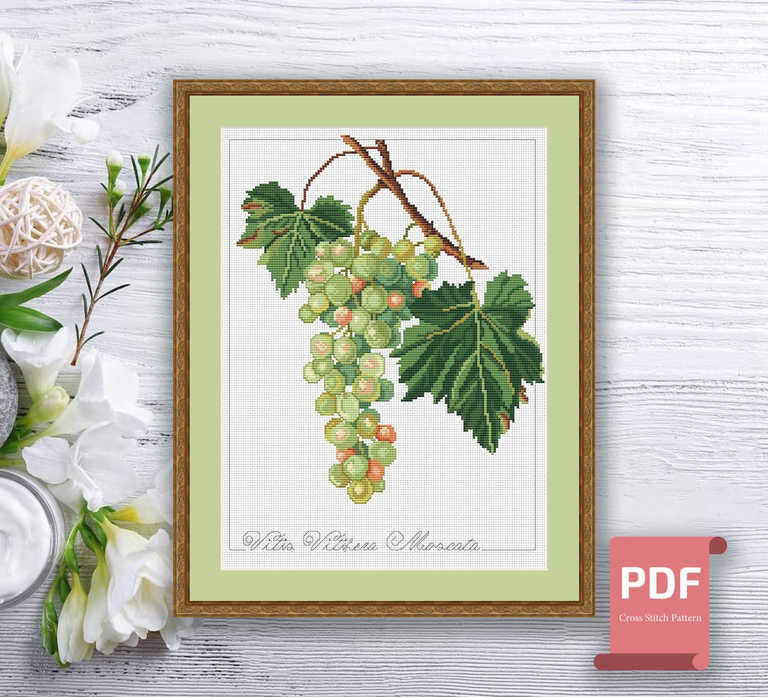 Grape Cross Stitch Pattern | Fruit Cross Stitch Pattern | Kitchen ...
