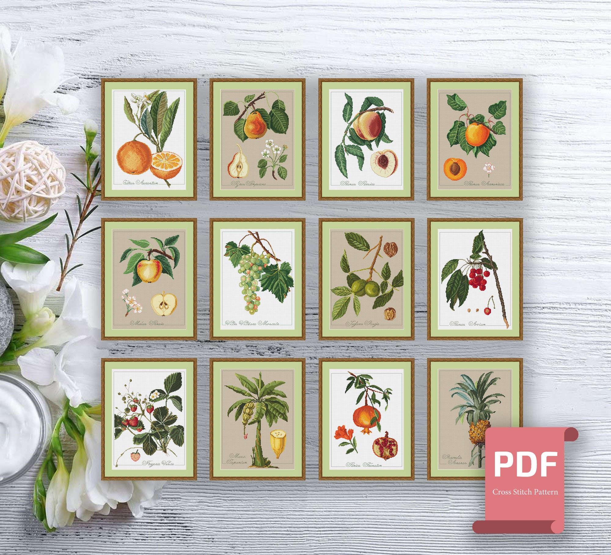 Set of 12 Fruits Cross Stitch | Fruit Cross Stitch Pattern | Kitchen ...