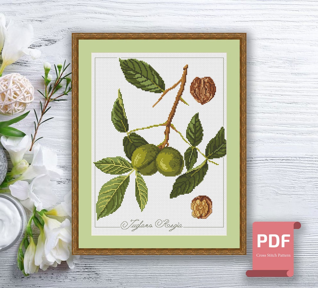 Walnut Cross Stitch Pattern | Fruit Cross Stitch Pattern | Kitchen ...