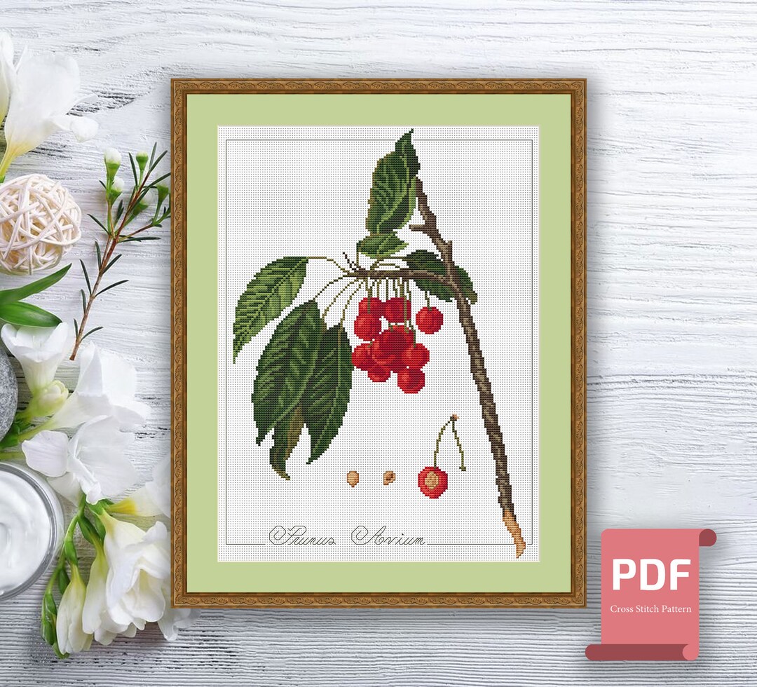 Cherry Cross Stitch Pattern | Fruit Cross Stitch Pattern | Kitchen Pattern | Plant Botany Cross ...