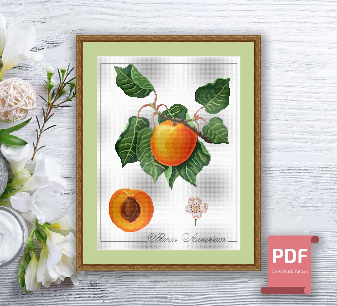 Apricot Cross Stitch Pattern | Fruit Cross Stitch Pattern | Kitchen ...