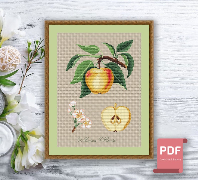 Apple Cross Stitch Pattern | Fruit Cross Stitch Pattern | Kitchen ...