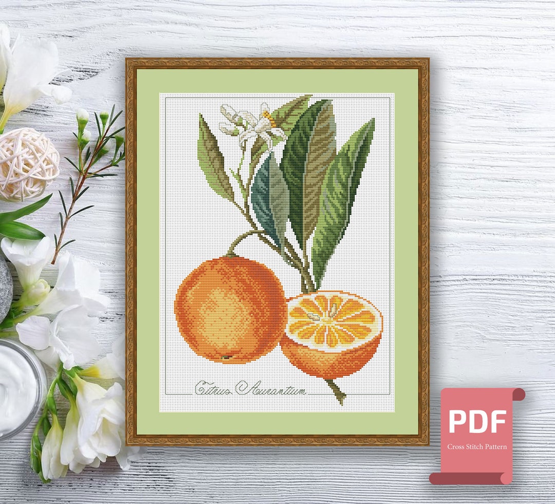 Orange Cross Stitch Pattern | Fruit Cross Stitch Pattern | Orange ...