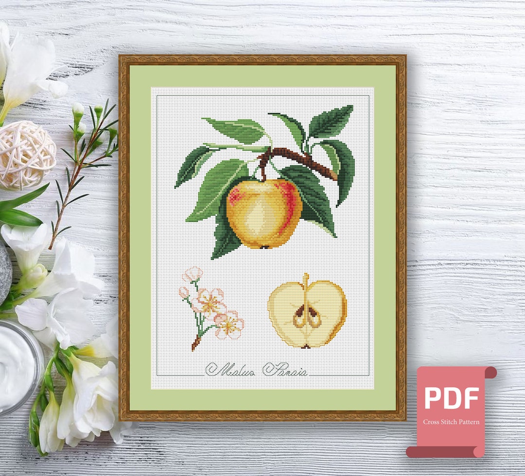 Apple Cross Stitch Pattern | Fruit Cross Stitch Pattern | Kitchen ...