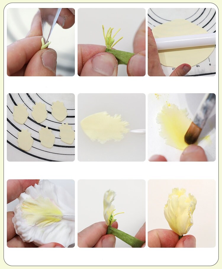 Tulip Silicone Veiner and Plastic Cutter Floral Silicone Mold - Etsy
