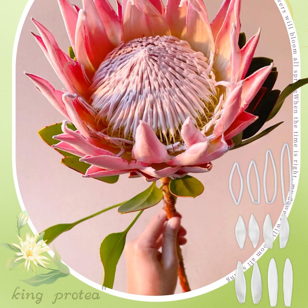King Protea Silicone Veiner and Cutter Set: Clay Flower Mold - Etsy