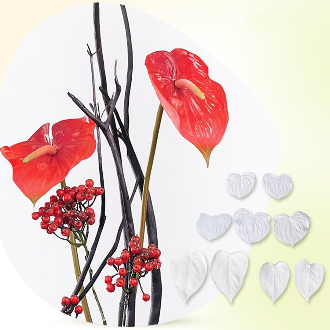 Anthurium Silicone Veiner and Plastic Cutter,flower Press, Floral ...