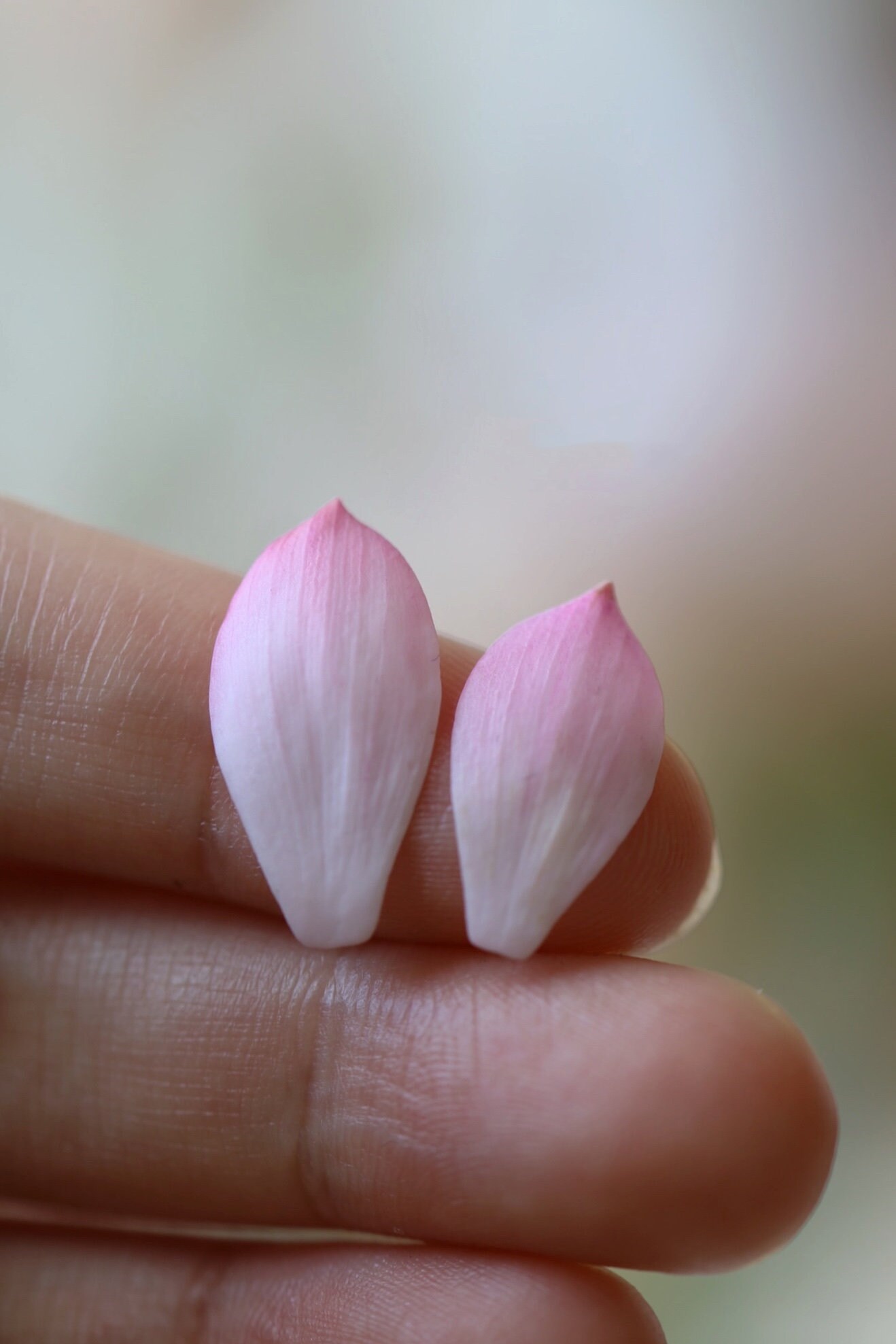 Mini Lotus Silicone Veiner, Flower Press, Petal Silicone Mold, Polymer ...