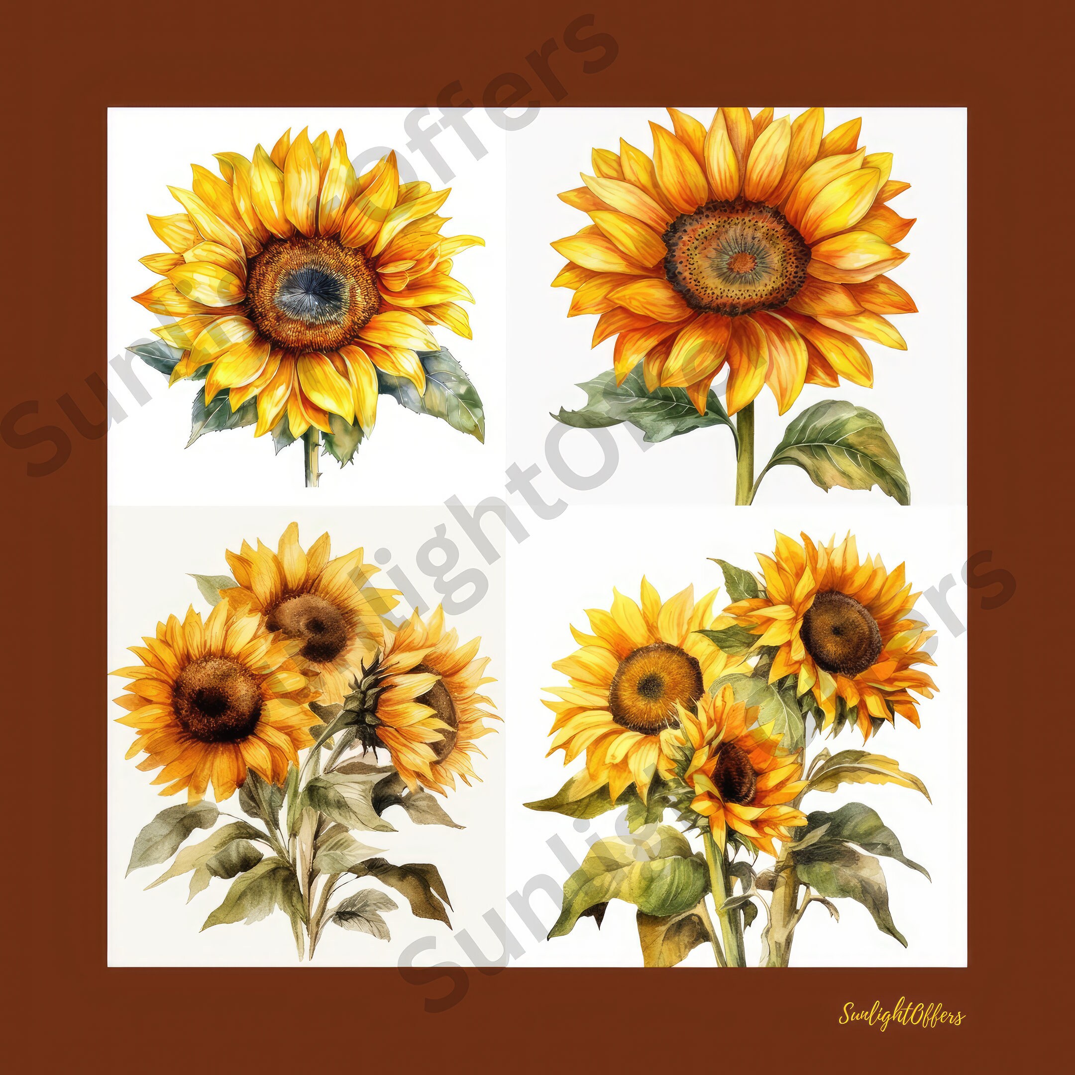 Watercolor Sunflower Collection - Sunlight Collection - Sunflower - PNG ...