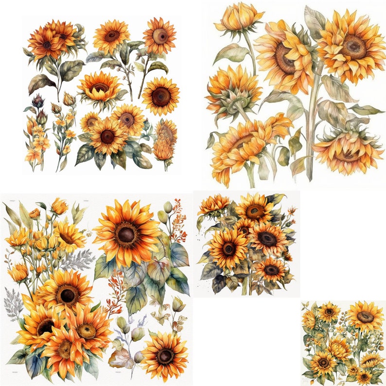 Sunflower Bundle! - Clipart - PNG - 40 Pictures - Mega Springtime ...