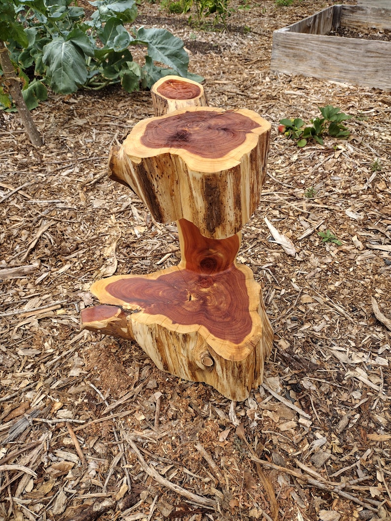 Cedar/juniper Side Table - Etsy