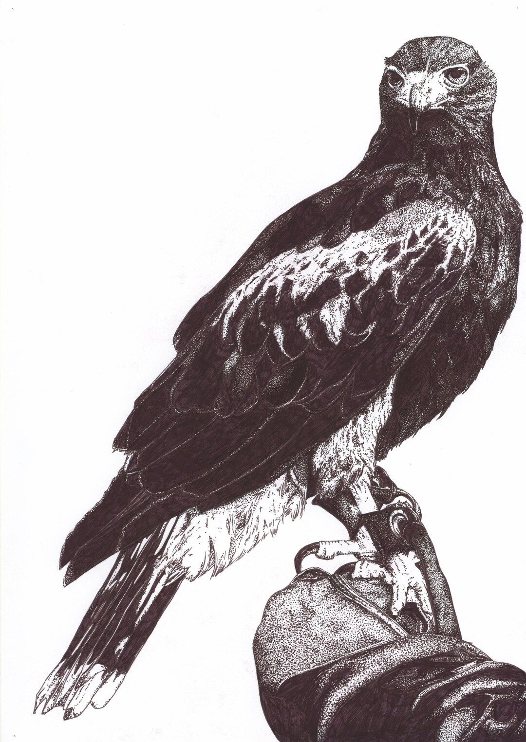 Tonal Pointillism Eagle Drawing print - Etsy