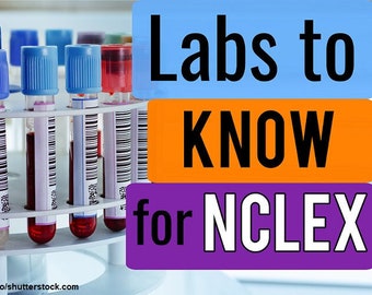 Lab Values Cheat Sheet Nursing Notes NCLEX Review Mark Klimek Lecture ...