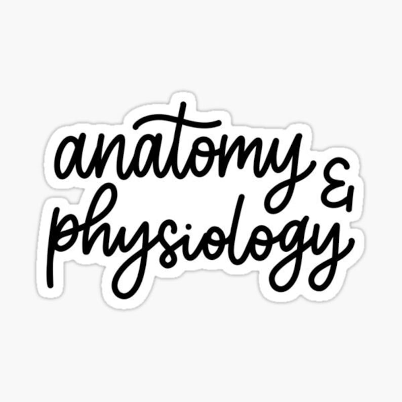 Anatomy & Physiology Study Guide - Etsy