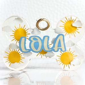 Sunshine Resin Dog Tag: Custom Pet ID, Summer Puppy Gift, Frankie Tags ...