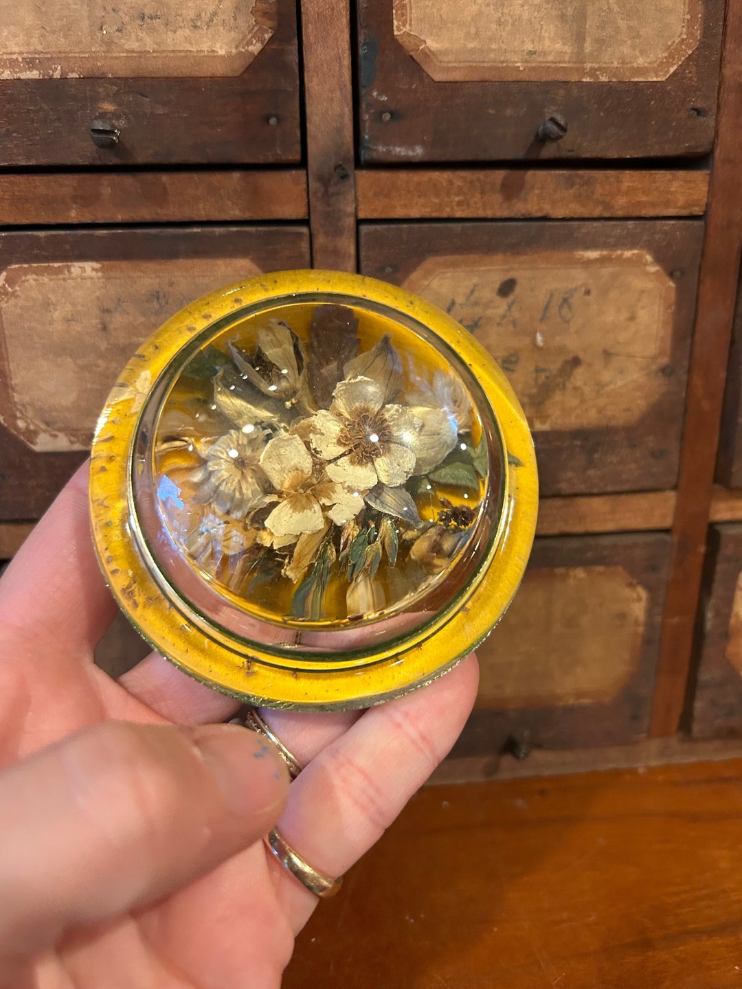 Vintage Glass Domed Cream and Beige Dried Flower Paperweight Decor ...
