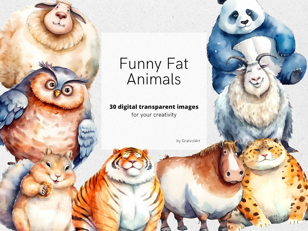 Funny Fat Animals Clipart, Digital Illustrations PNG Instant Download ...