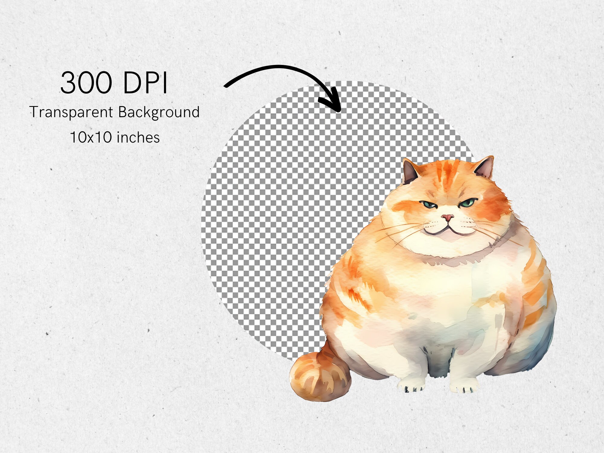 Funny Fat Animals Clipart, Digital Illustrations PNG Instant Download ...