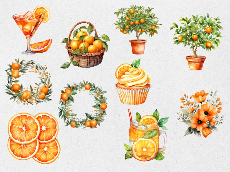 Watercolor Oranges Clipart Digital Png Citrus Graphics for - Etsy