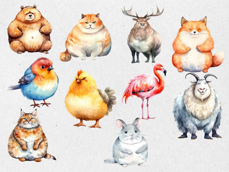 Funny Fat Animals Clipart, Digital Illustrations PNG Instant Download ...