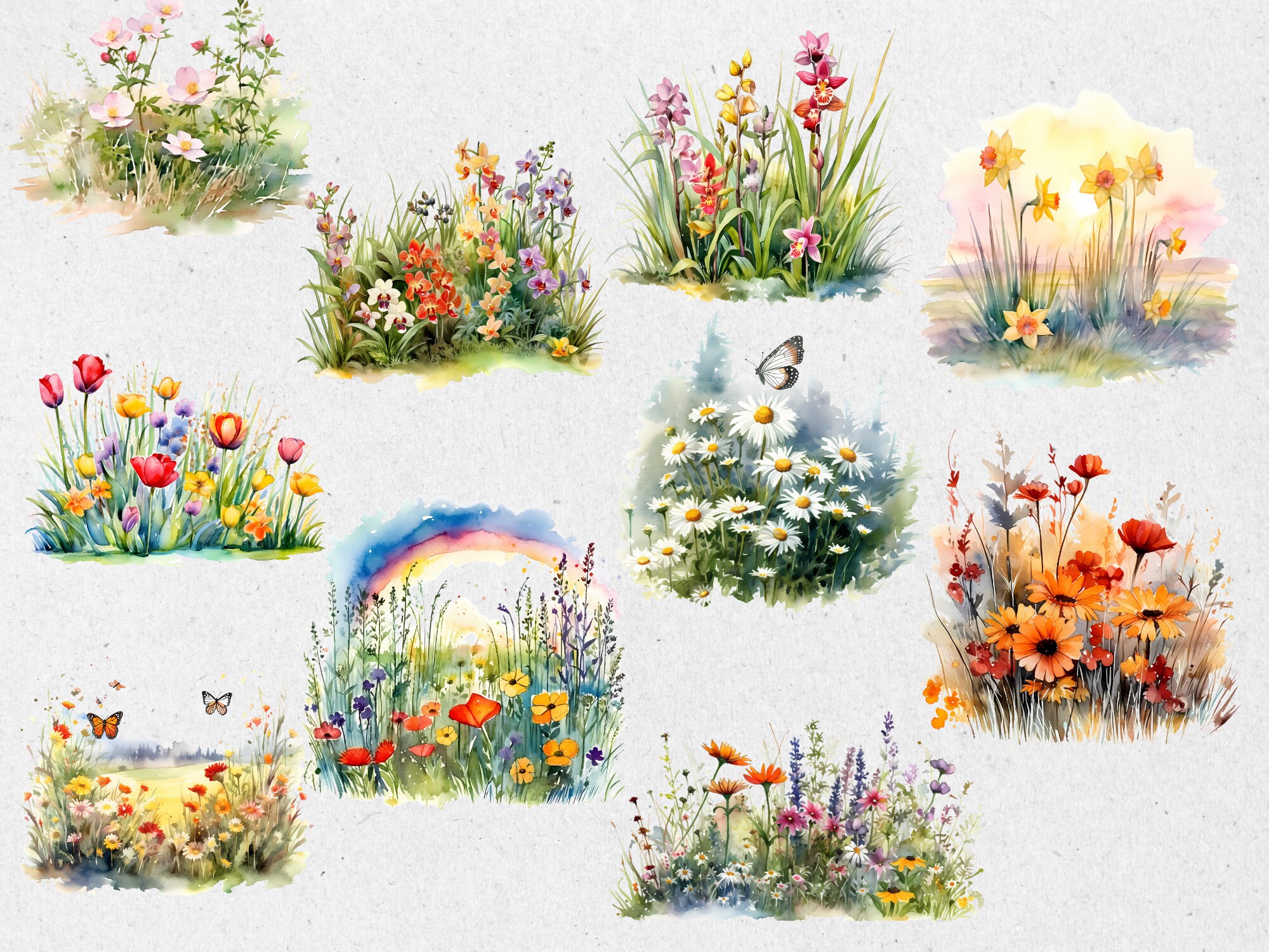 Watercolor Meadow Flowers Clipart - Spring Wildflower Floral PNG Format ...