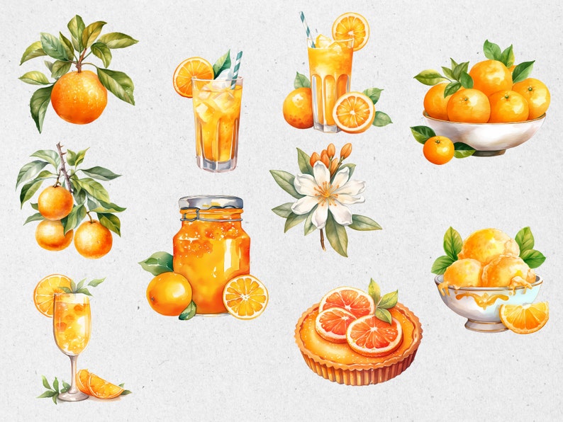 Watercolor Oranges Clipart - Digital Png Citrus, Graphics for Instant ...