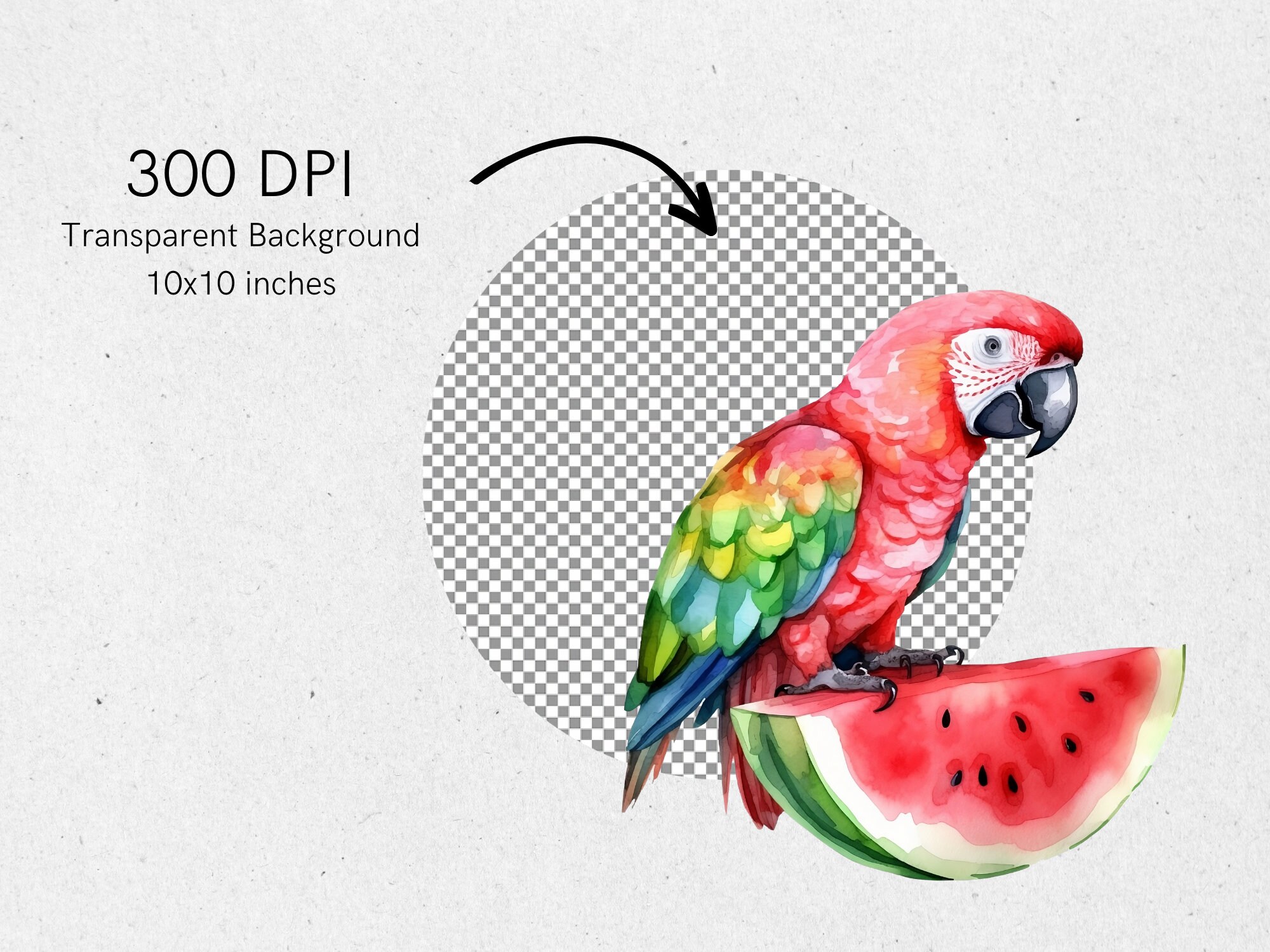 Watercolor Watermelon Clipart - Digital Png Watermelon, Graphics for ...