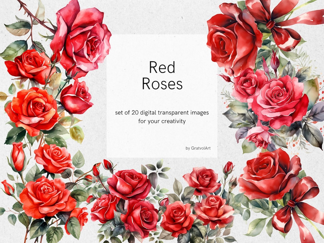 Red Roses Watercolor Clipart - Red Roses Floral Clipart - Red Roses ...