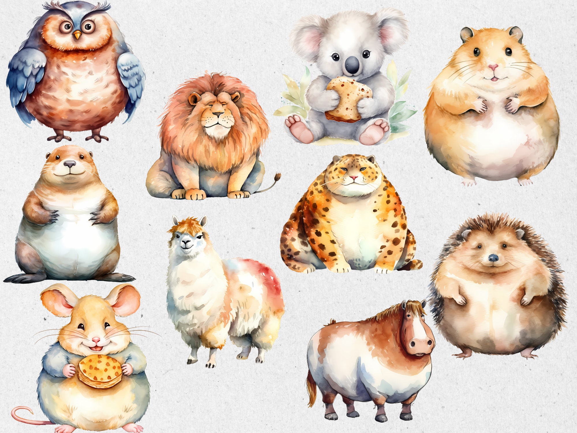 Funny Fat Animals Clipart, Digital Illustrations PNG Instant Download ...