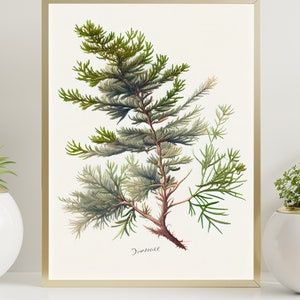 Flower Wall Art Juniper Print Floral Digital Print Wall Decor Minimal ...