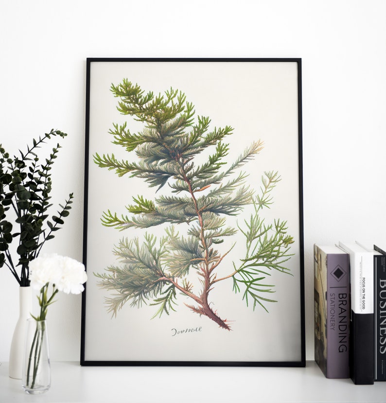 Flower Wall Art Juniper Print Floral Digital Print Wall Decor Minimal ...