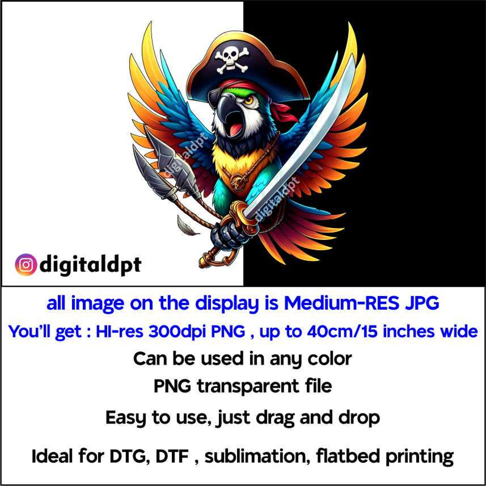 Pirate Parrot Clip Art: Transparent PNG Design (digital Download) - Etsy