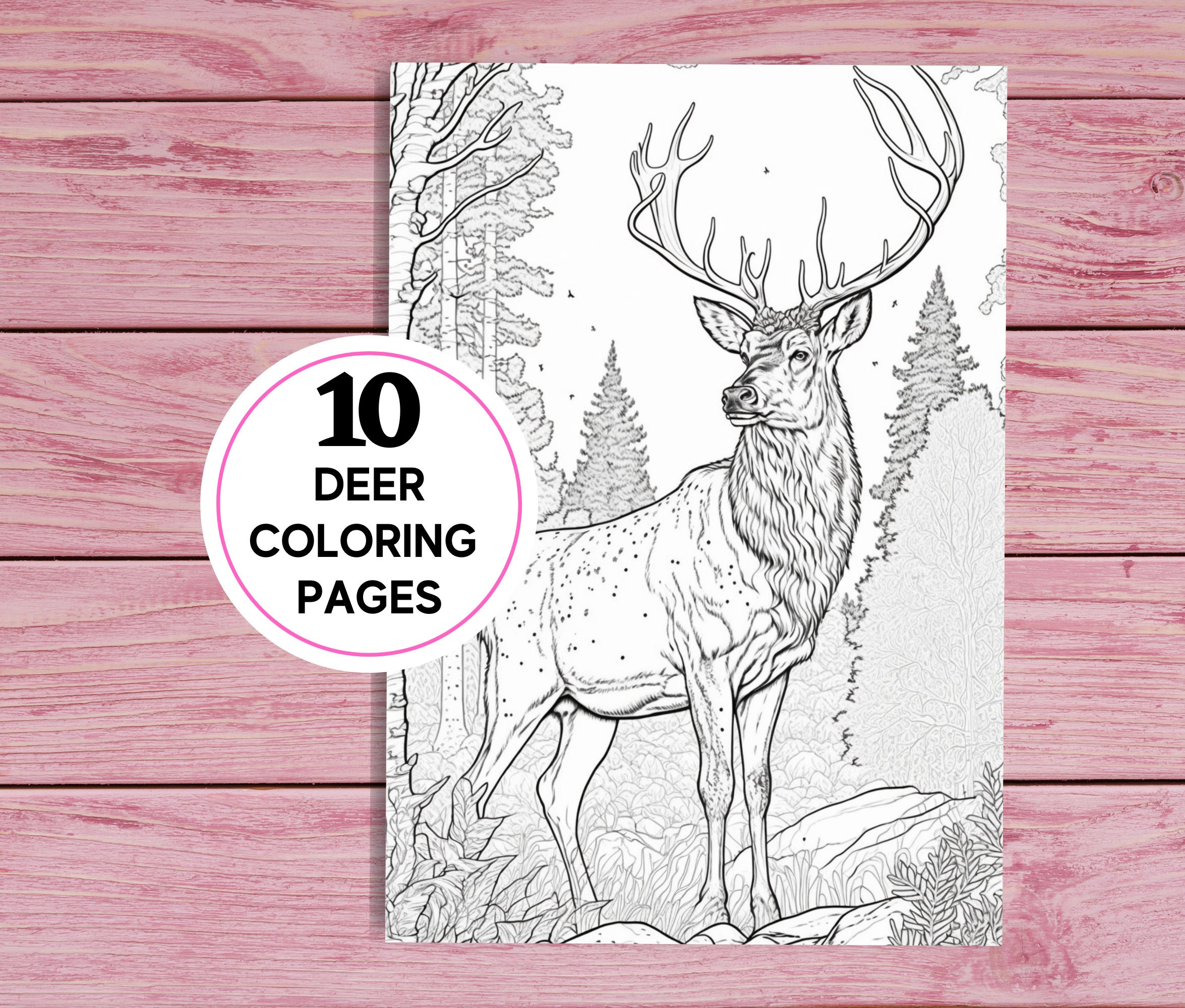 Majestic Deer - 10 Coloring Pages for Kids and Adults | Printable PDF ...